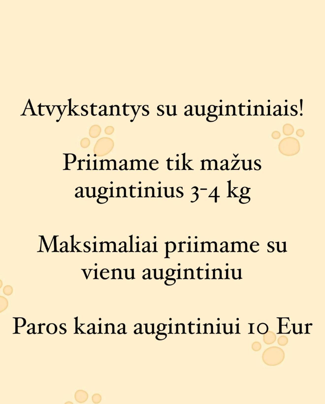 Guest house Pajurio Gintaro Namai Palanga, Lithuania - book now, 2026 ...
